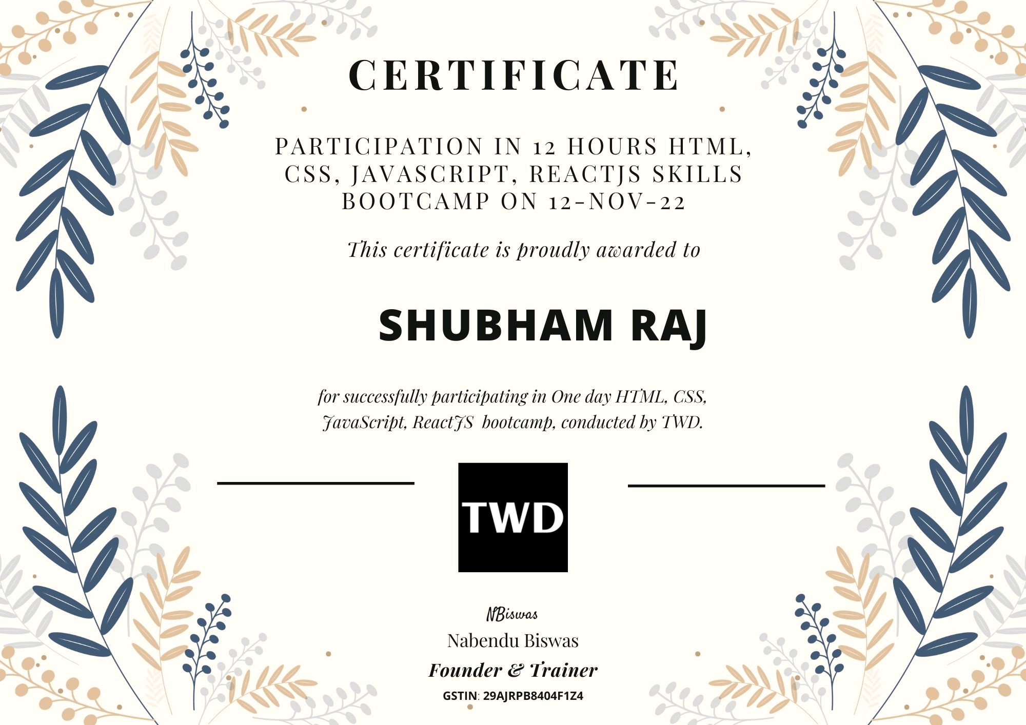 Shubham Raj Portfolio