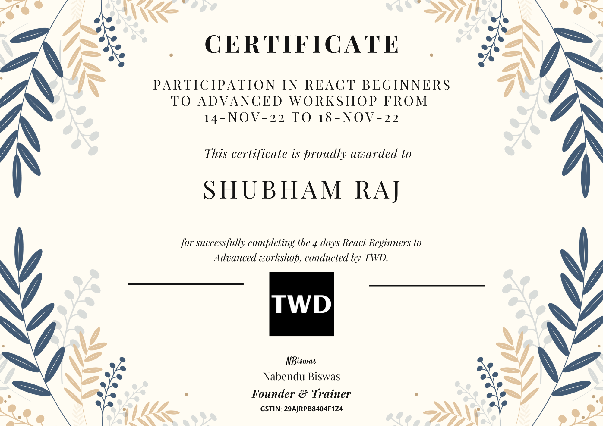 Shubham Raj Portfolio